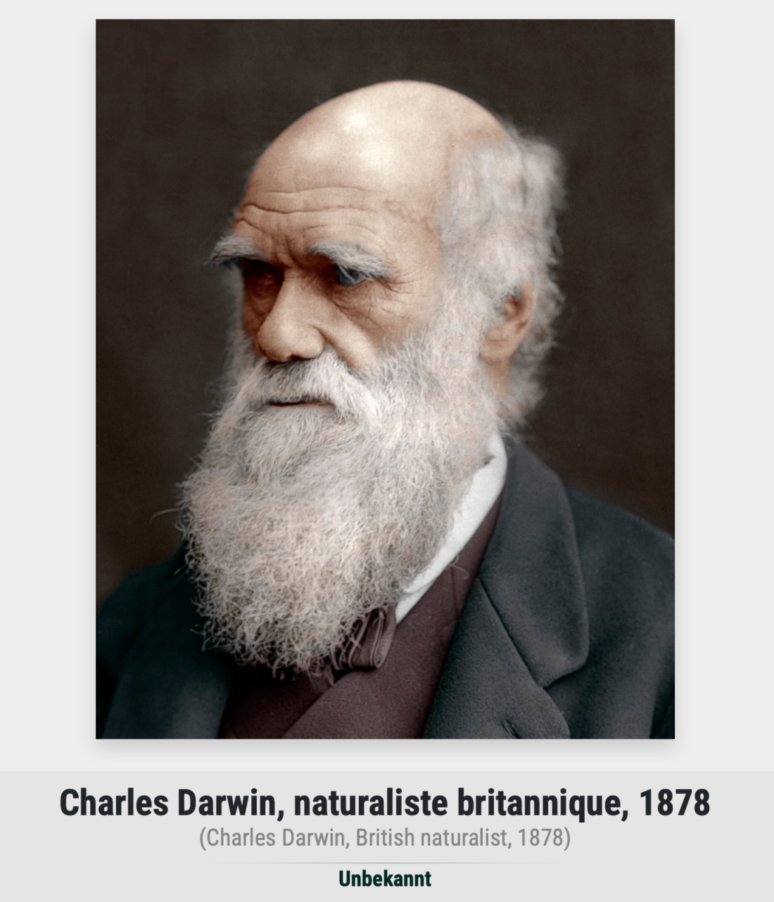 Plankton nets – Curiosity microscope